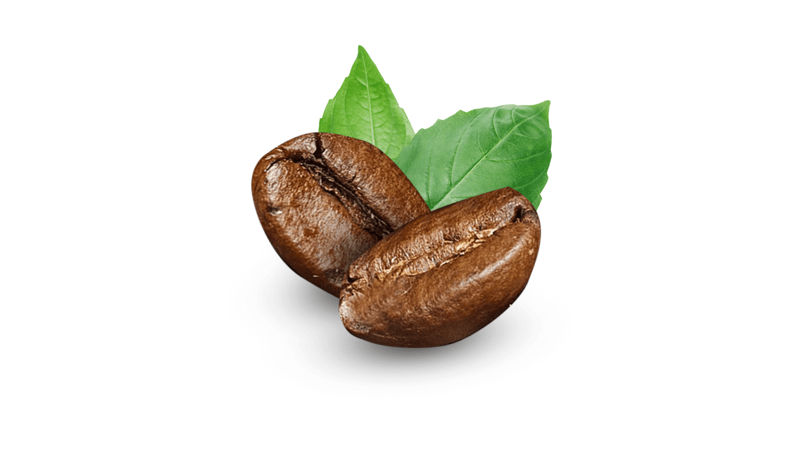 Darweesh Coffee | بن درويش – Crafted Perfection in Every Cup