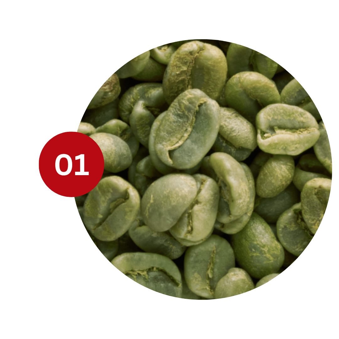 Home - Darweesh Coffee | بن درويش